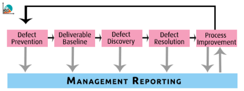Step-by-Step Guide to Management Reporting